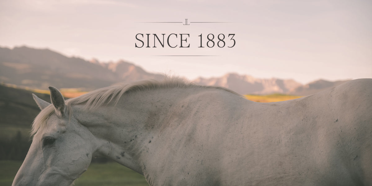 Lucchese Boots Official Website | Lucchese
