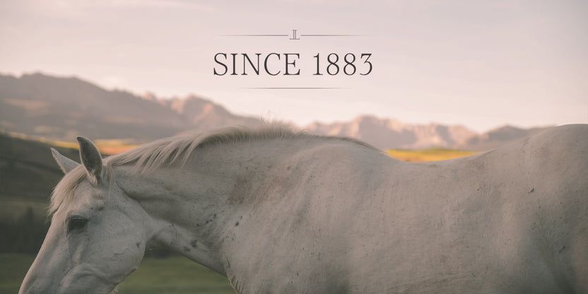 Lucchese Boots Official Website | Lucchese