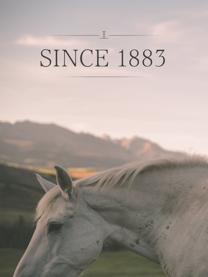 Lucchese Boots Official Website | Lucchese